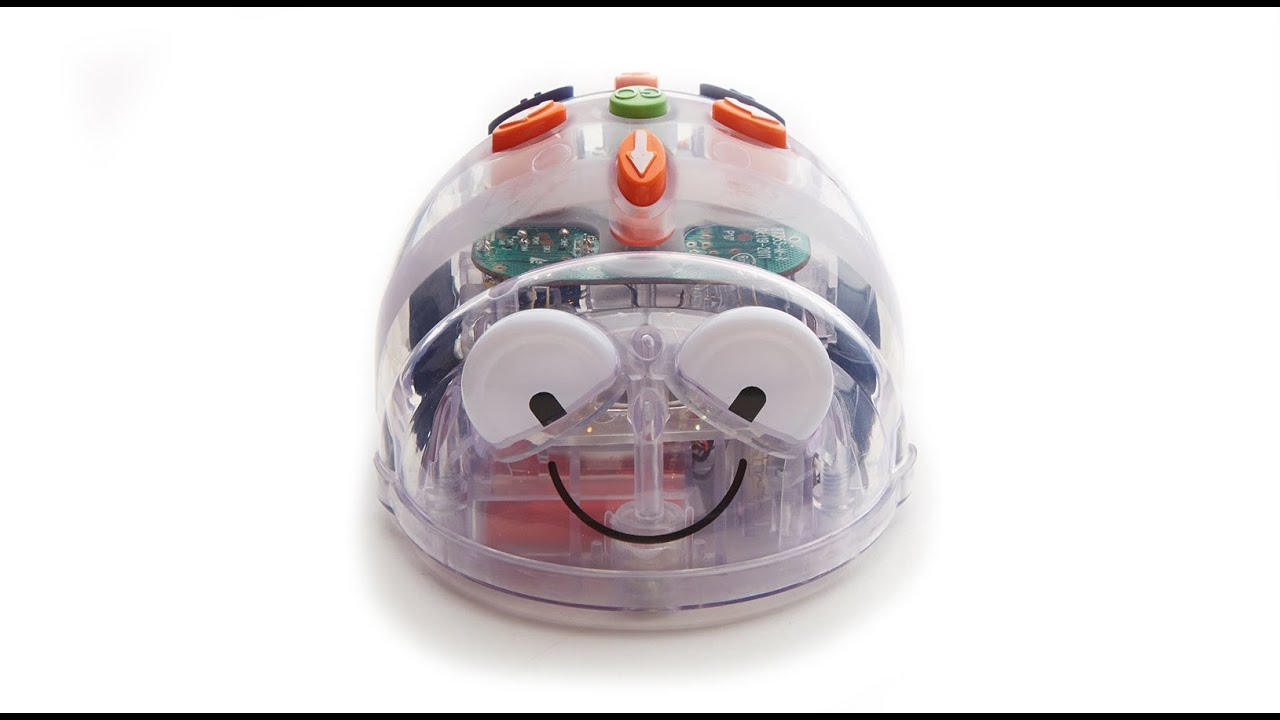 Blue Bot Robot - leren programmeren